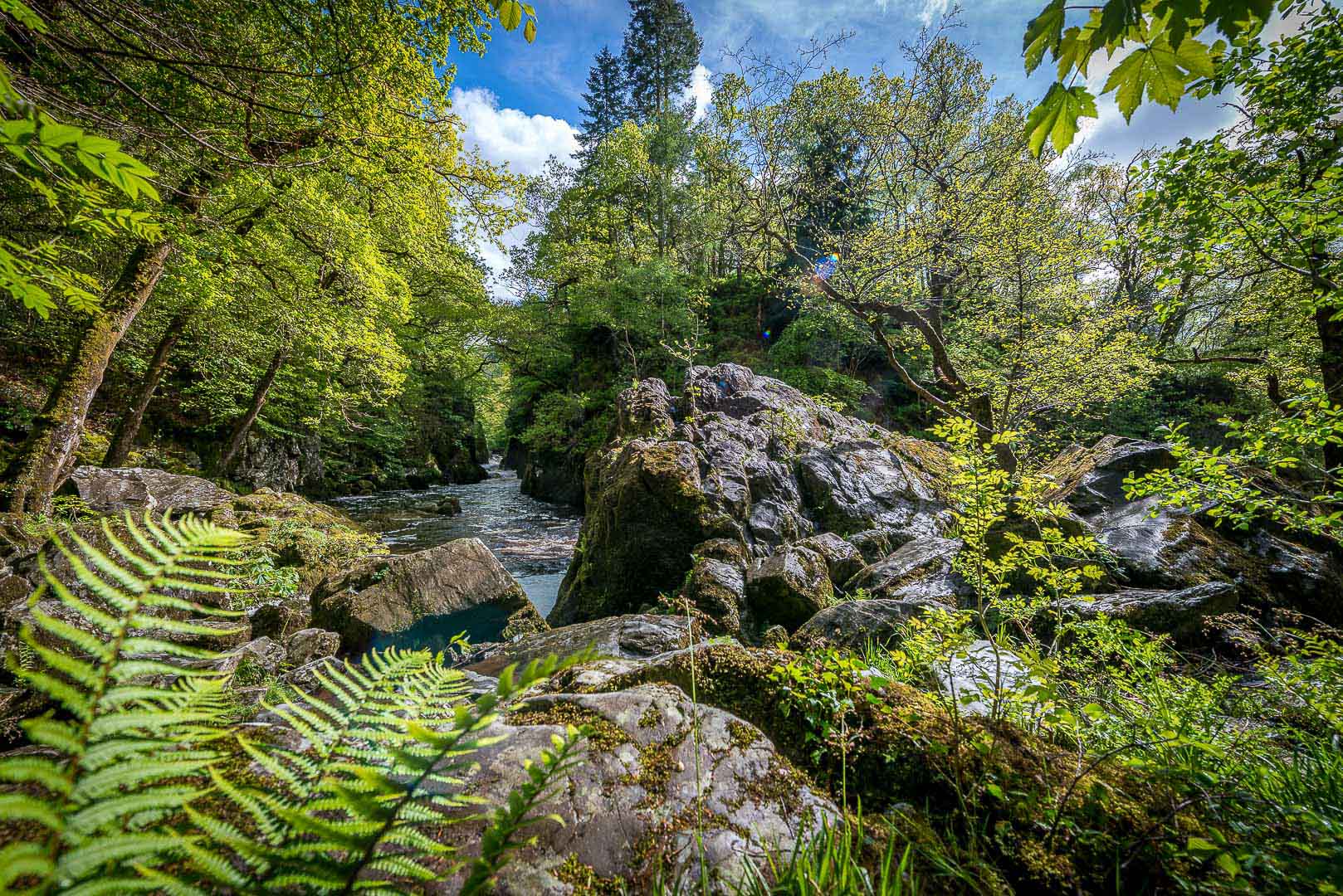 TOP 5 RIVERS TO EXPLORE IN NORTH WALES | Dioni Holiday Cottages