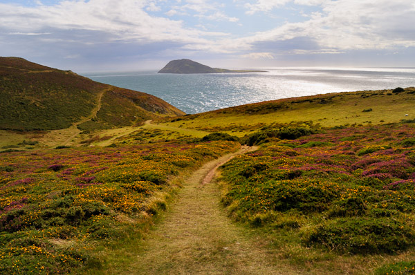 Discover Ynys Enlli – The Mystical Island of Bardsey | Dioni Holiday ...
